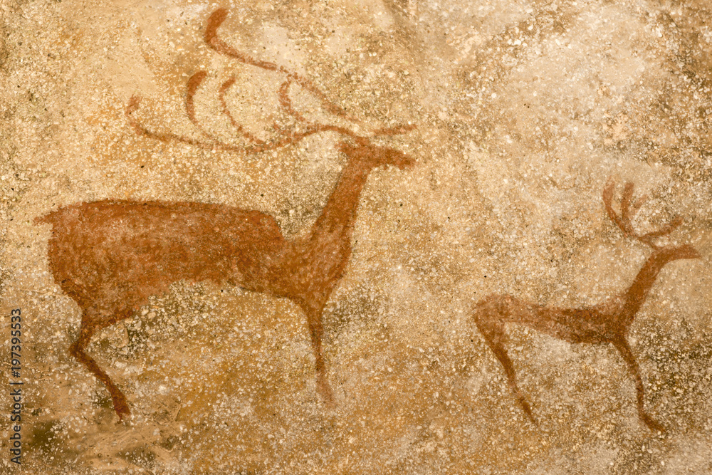 image of the ancient deer on the wall of the cave. ancient art. the ...