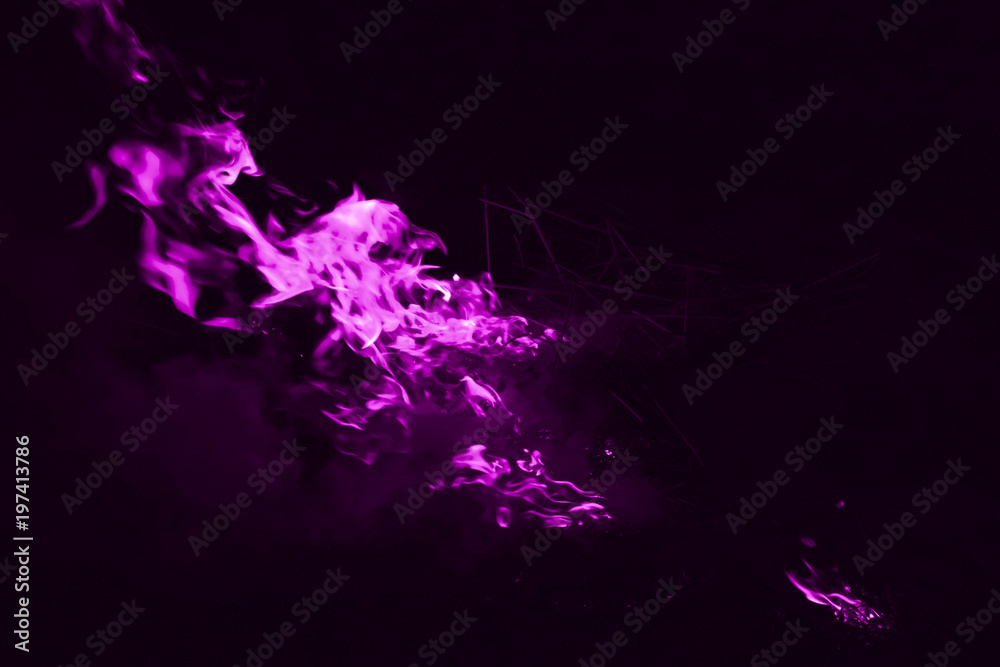 Violet flame. Fire. Burning of rice straw at night. Stock Photo | Adobe ...