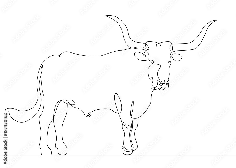 continuous line drawing bull cow Stock Vector | Adobe Stock