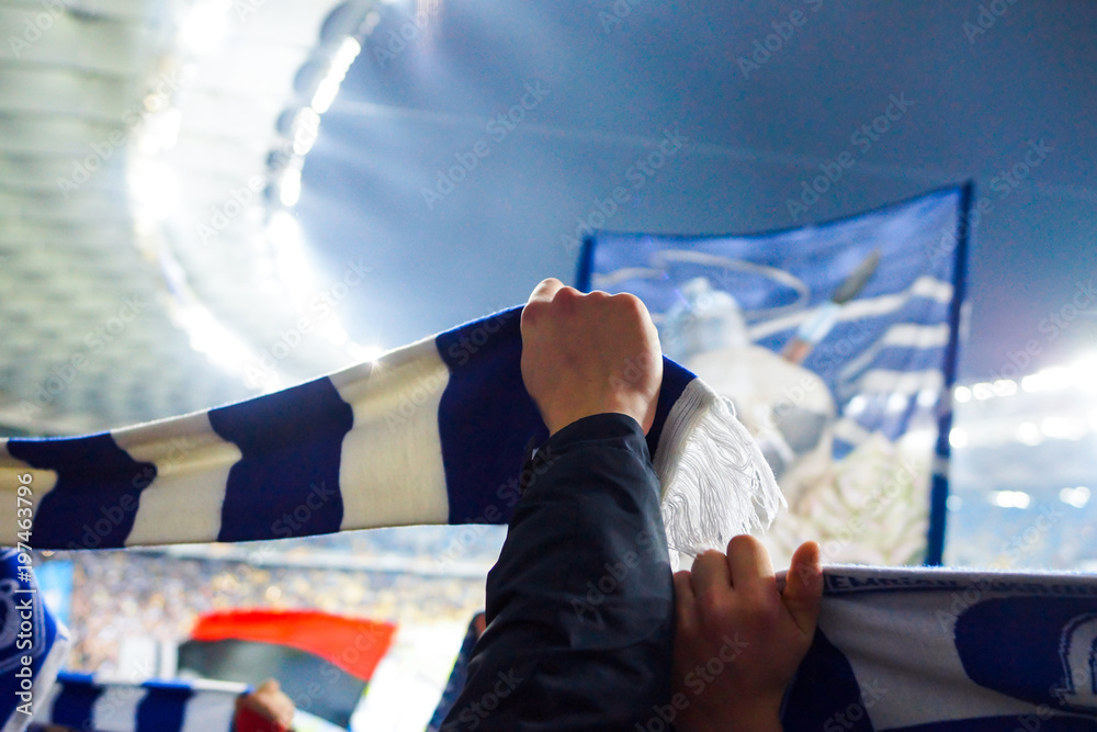 Football- soccer fans support their team and celebrate goal in full ...