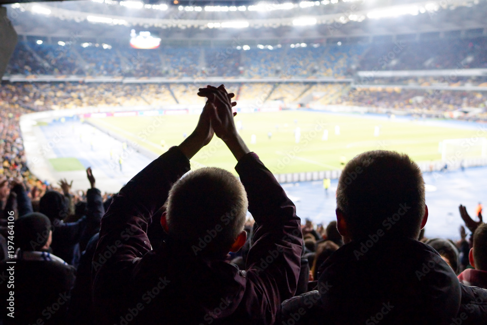 Football- soccer fans support their team and celebrate goal in full ...