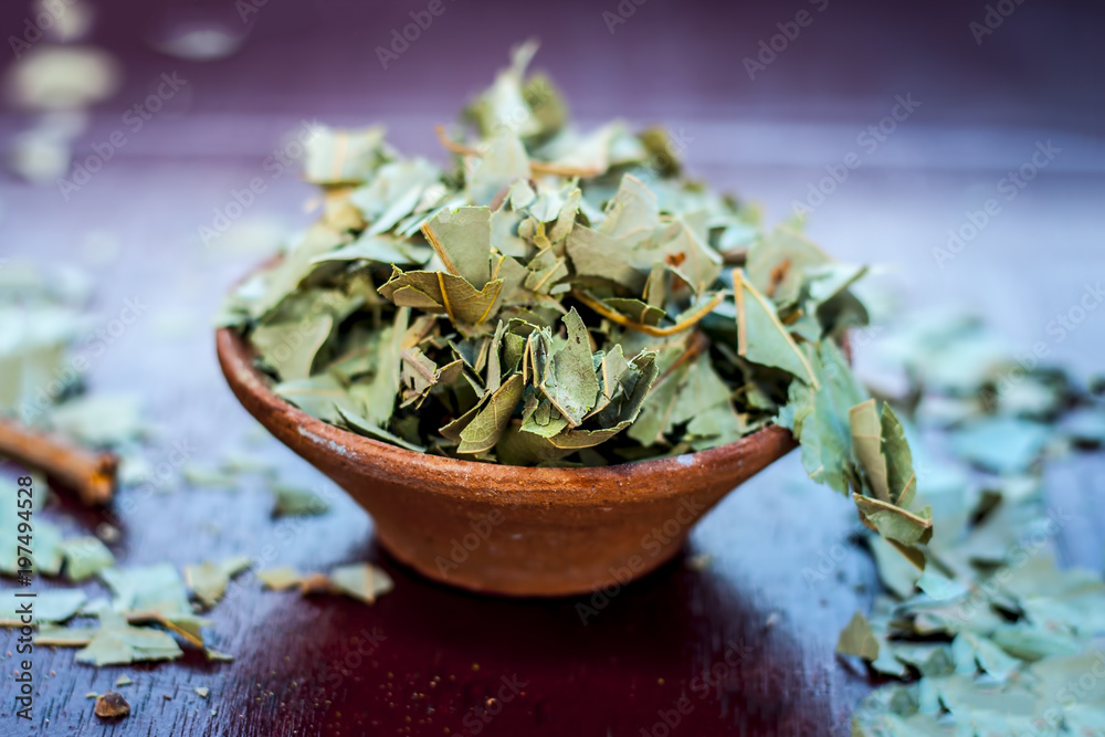 Close up of fruit and leaves of Banyan tree, Ficus benghalensis ...