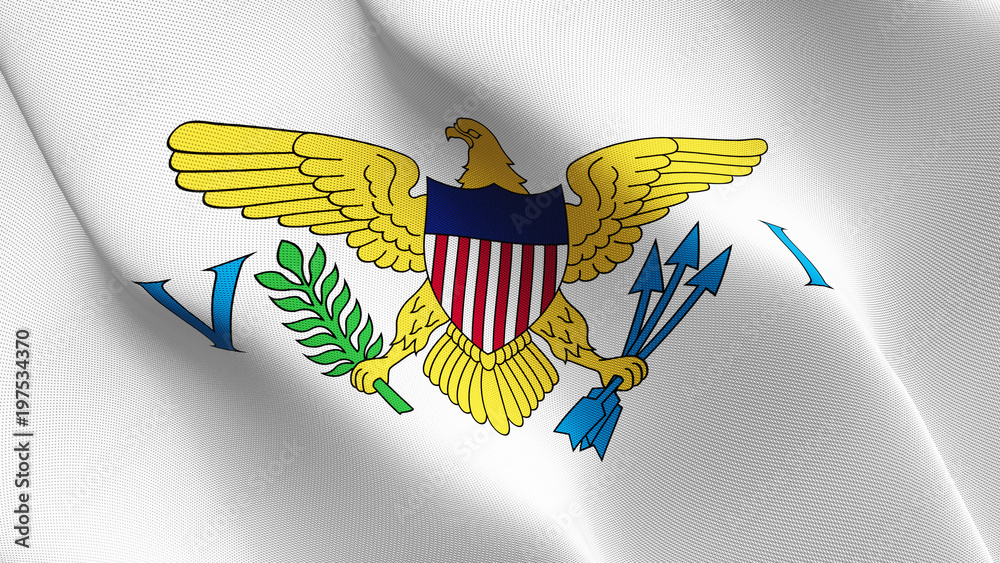 United States Virgin Islands US State flag waving loop. United States ...
