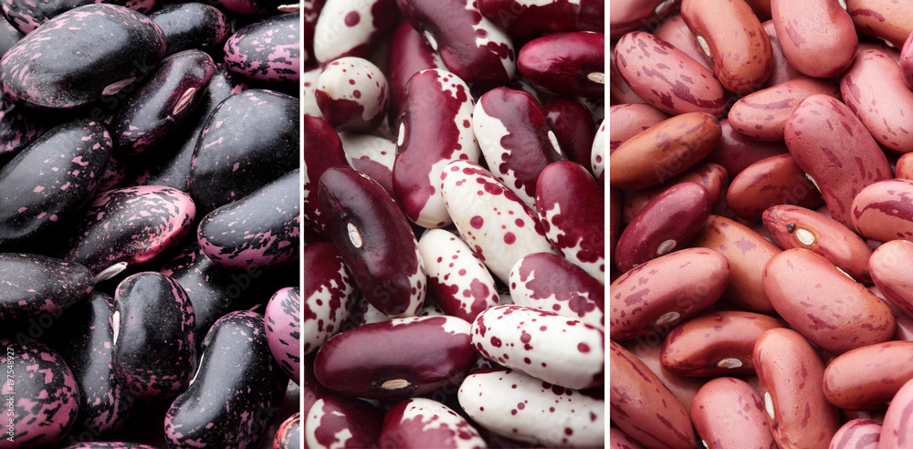 Collage of different types of beans..Varieties of beans.Top view ...