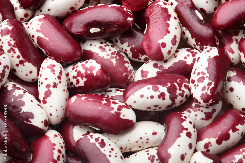 Texture of violet with dots beans.Beans handsome.Swallow beans ...
