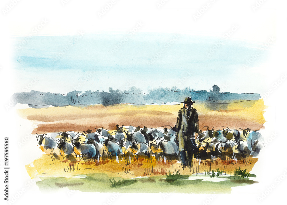 The shepherd with herd of sheep. Hand drawn watercolor illustration ...