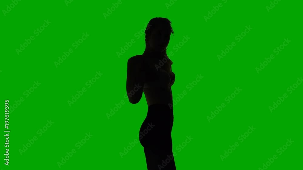 Dancing Erotic Young Girl Silhouette Vídeo De Stock Adobe Stock