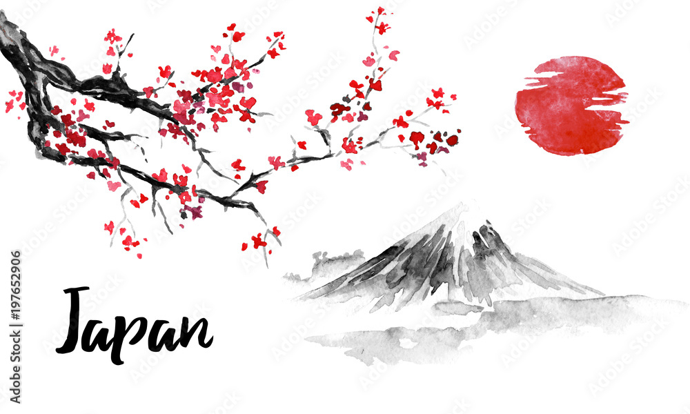 Japan traditional sumi-e painting. Sakura, cherry blossom. Fuji ...