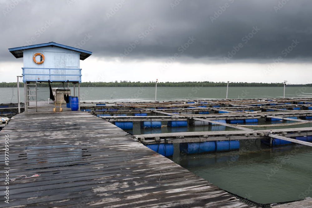 Offshore ocean open water fish farm in the tropics - Fish Farm in Asia ...