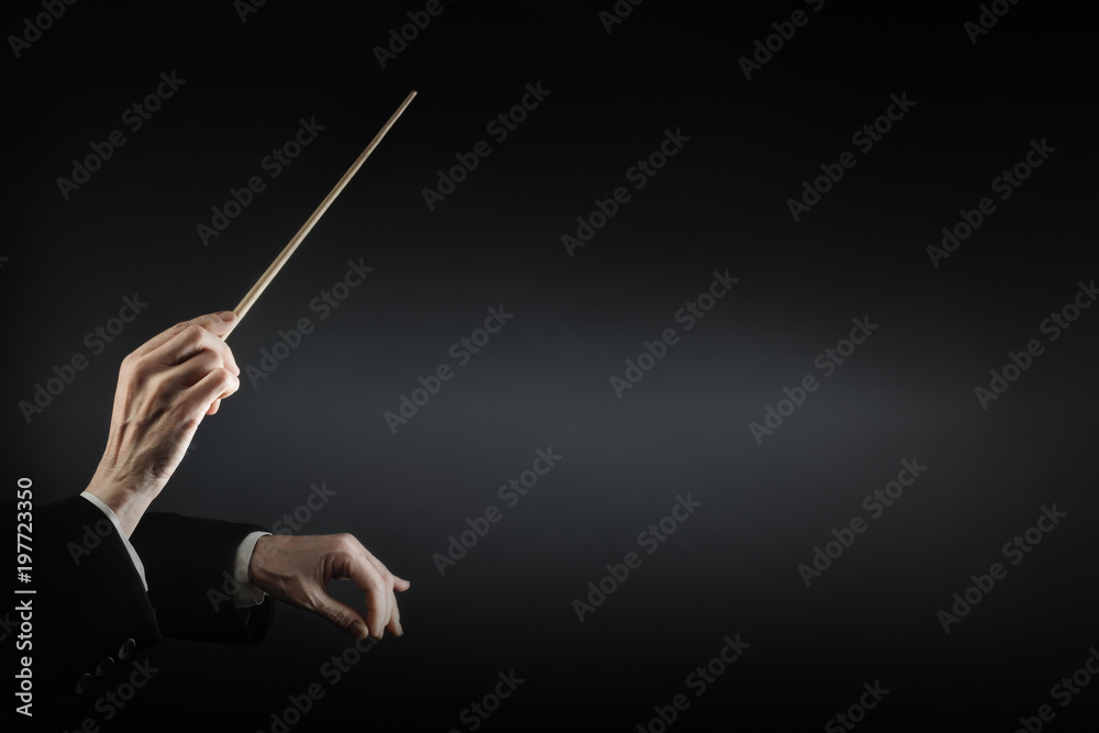 Orchestra conductor music conducting. Hands of conductor with baton ...