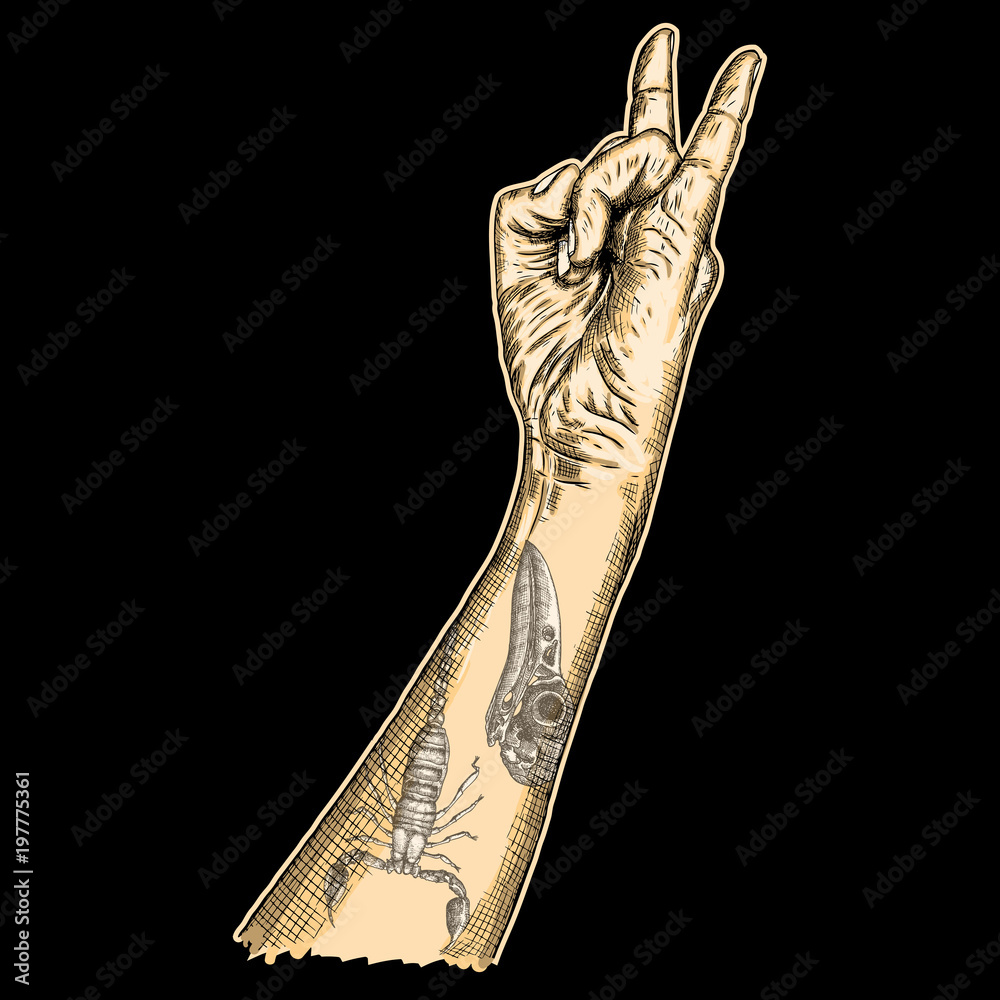 Man hand in rock n roll sign with scorpion and crow or raven, skull ...