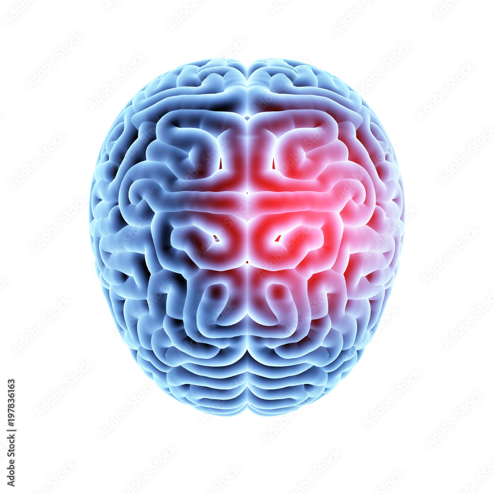 Headache area on brain X-ray, top view isolated on white background. 3D ...