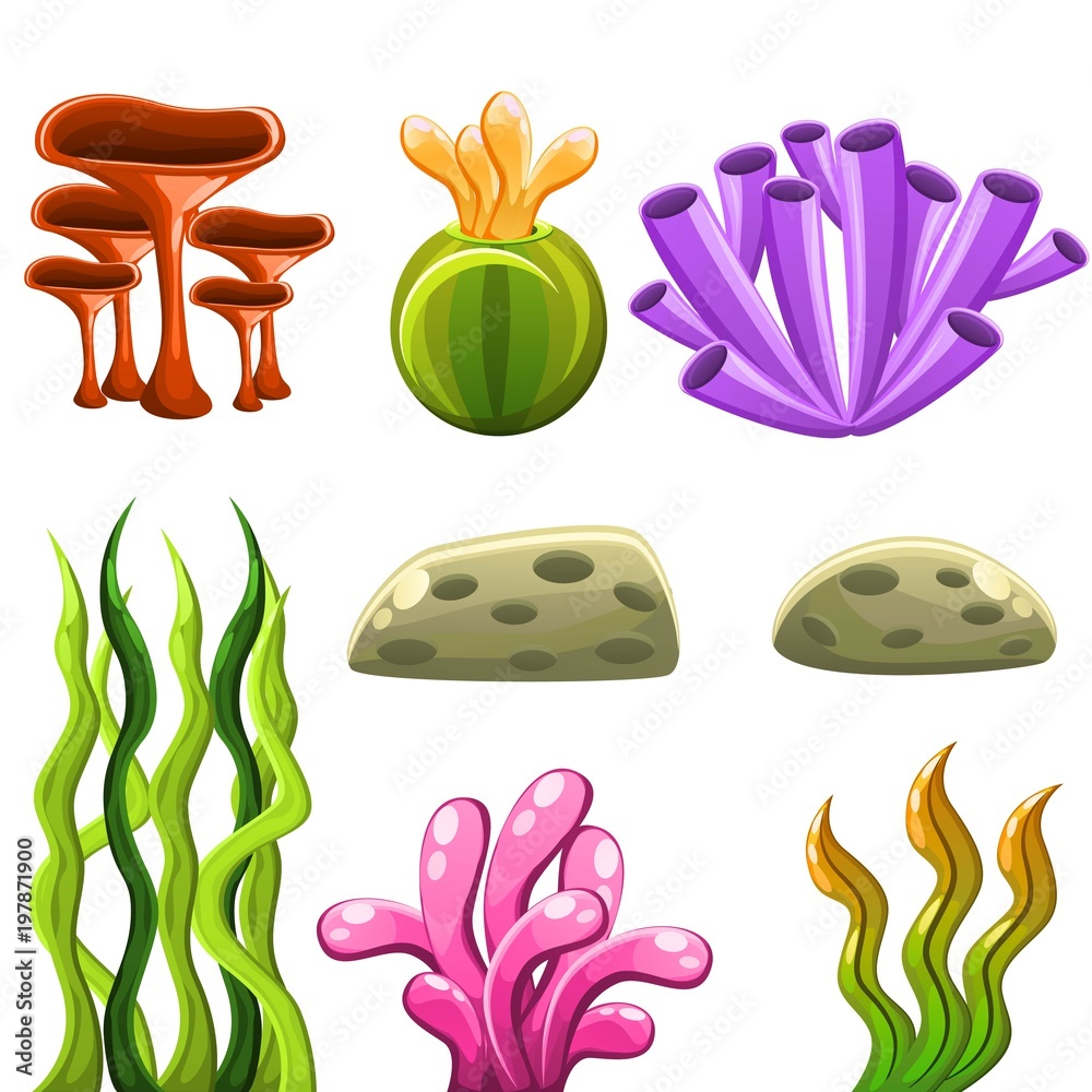 Sea plants and aquatic marine algae, seawed and corals. Underwater sea ...