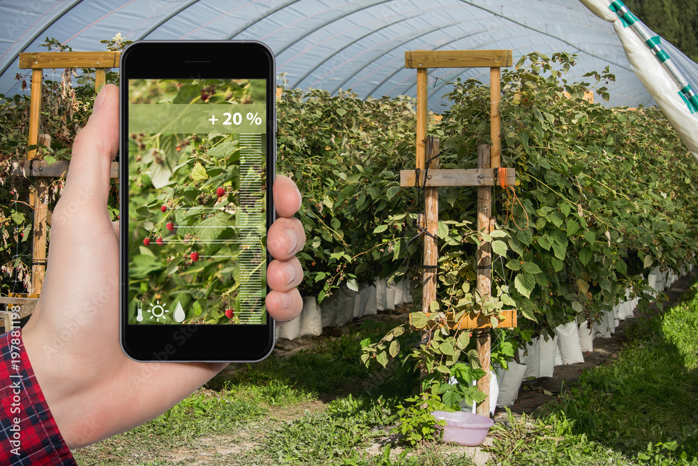 Hand with phone on a background of greenhouse. On the screen condition ...