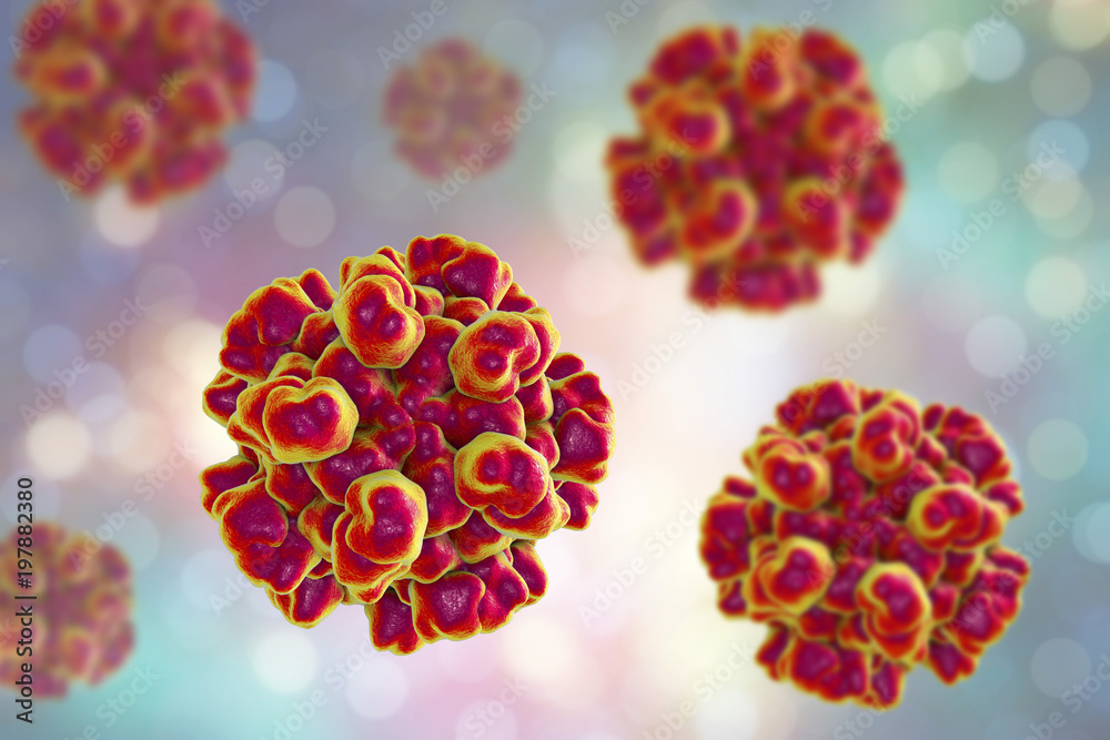 Hepatitis E virus molecular model, 3D illustration, non-enveloped RNA virus with fecal-oral ...