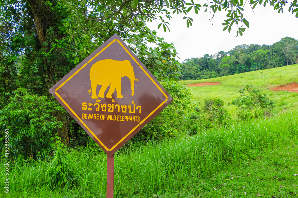 Beware of Wild Elephants Signs symbols at Khaoyai National Park ...
