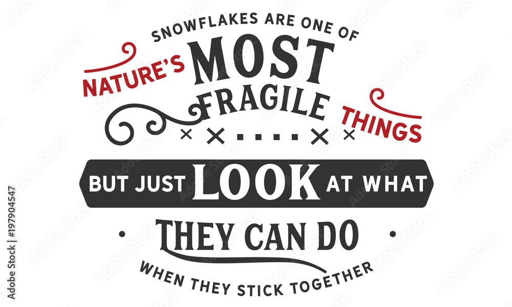 Snowflakes are one of nature's most fragile things, but just look at ...