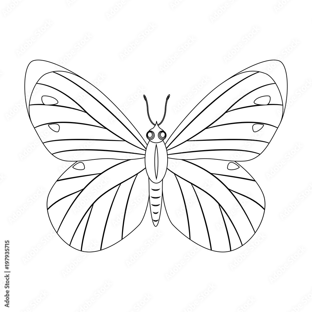 Colorless butterfly vector illustration isolated on white backgr Stock ...