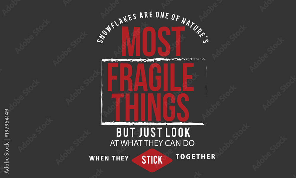 Snowflakes are one of nature's most fragile things, but just look at ...