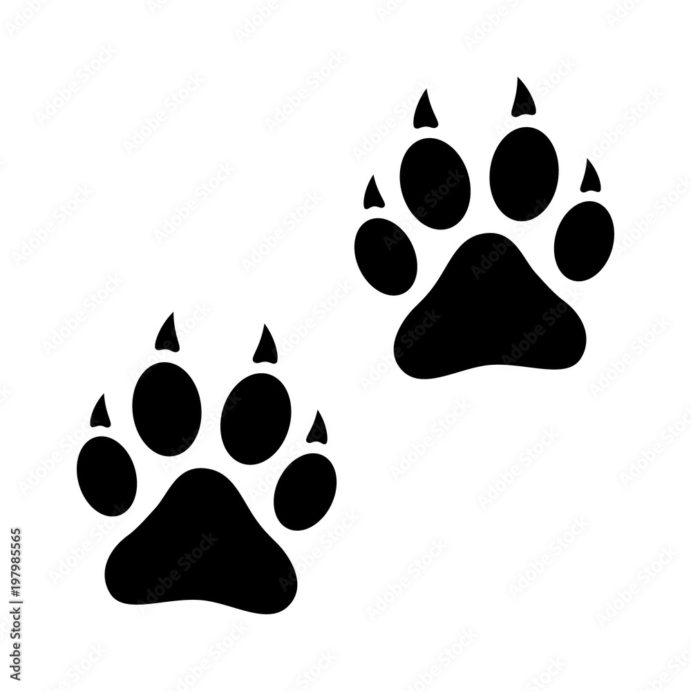 Dog, wolf or fox wild animal footprints / tracks flat vector icon for ...