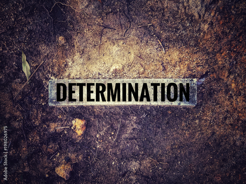 Determined Word