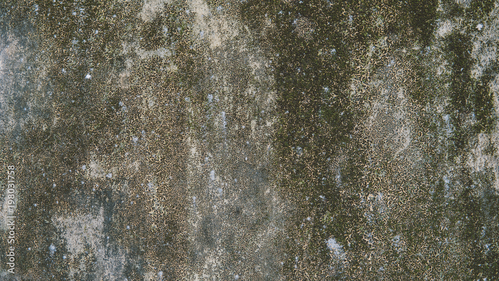 Old Building Wall Texture