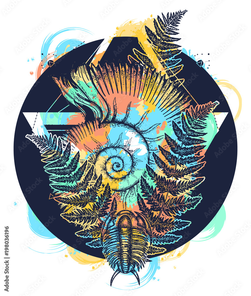 Ancient fossils, symbol of paleontology, science, education. Nautilus ...