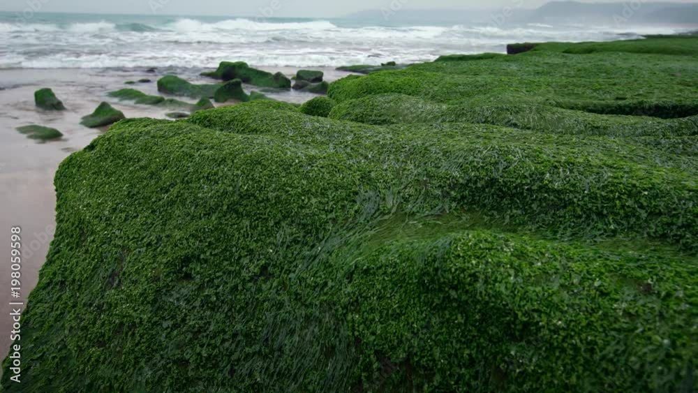 4K Laomei Green Reef in New Taipei City. The reefs of various shapes ...