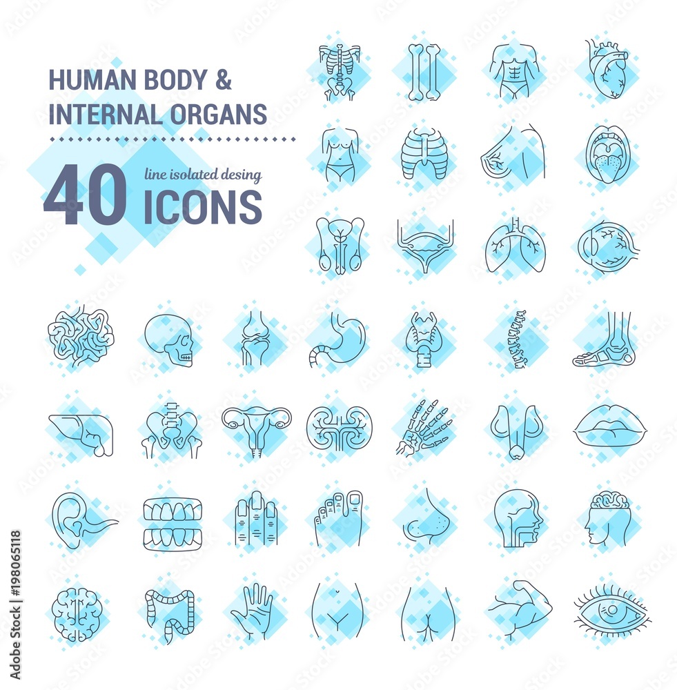 Vector graphic set. Icons in flat, contour, thin, minimal and linear ...