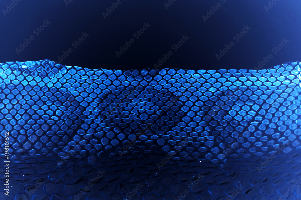 jacket cast-off skin of snake Royal Python on a white background ...