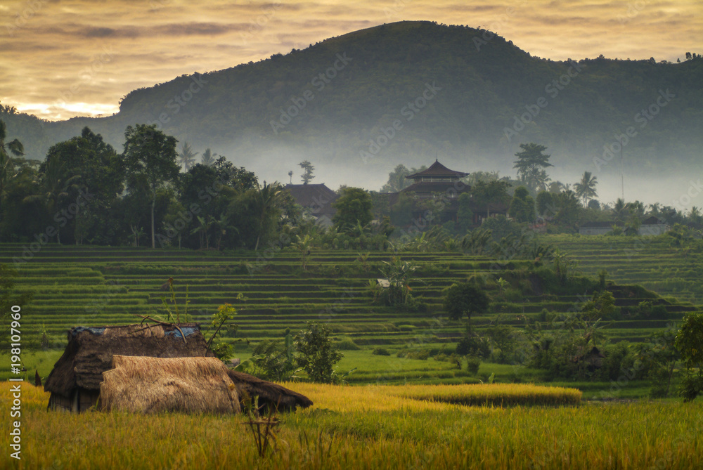 Balinese Rice Terraces in the Village of Sidemen. Sidemen boasts some ...