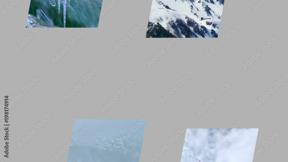 Four seasons collage. Several footage at different time of the year and ...
