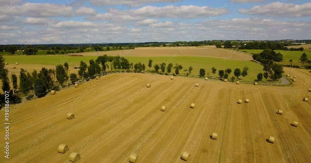 Harvest season with hay bales Stock Video | Adobe Stock