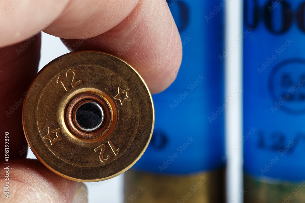Old hunting 12‐gauge shotgun shells Stock Photo | Adobe Stock