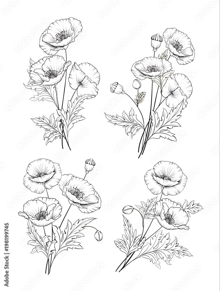 Vintage Poppy Set Wedding Flowers Bundle Flower Collection Of
