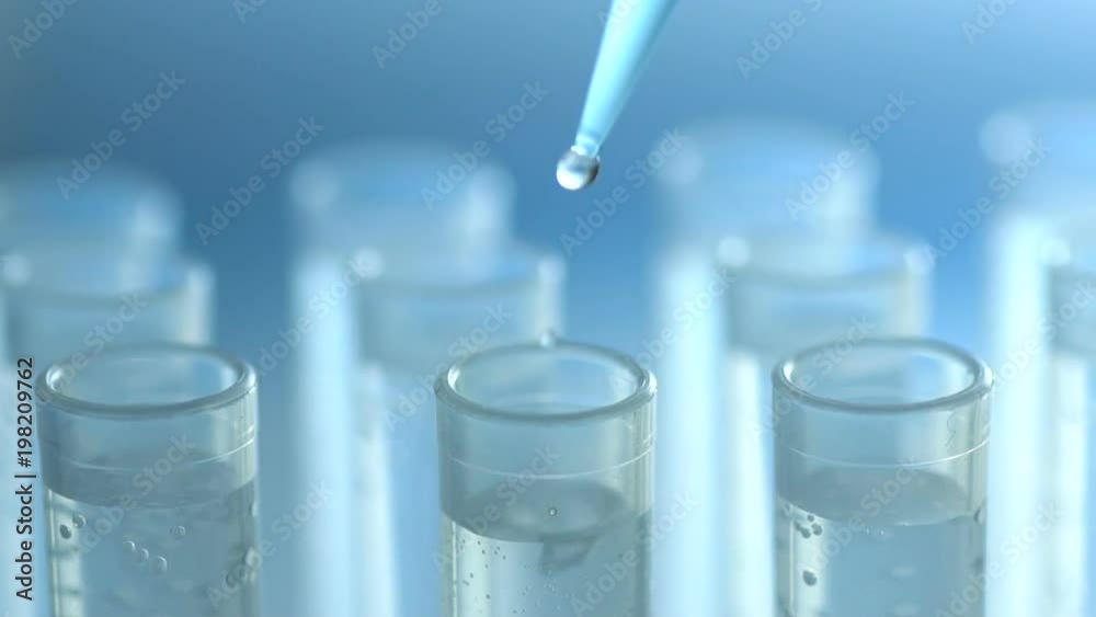 a scientist with a pipette analyzes a colored liquid to extract the DNA ...