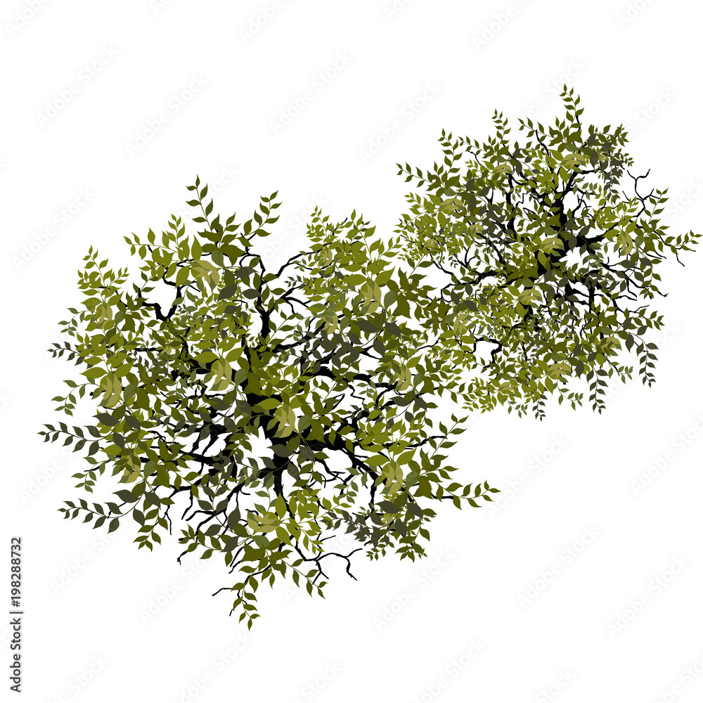 Trees top view for landscape vector illustration. Stock Vector | Adobe ...