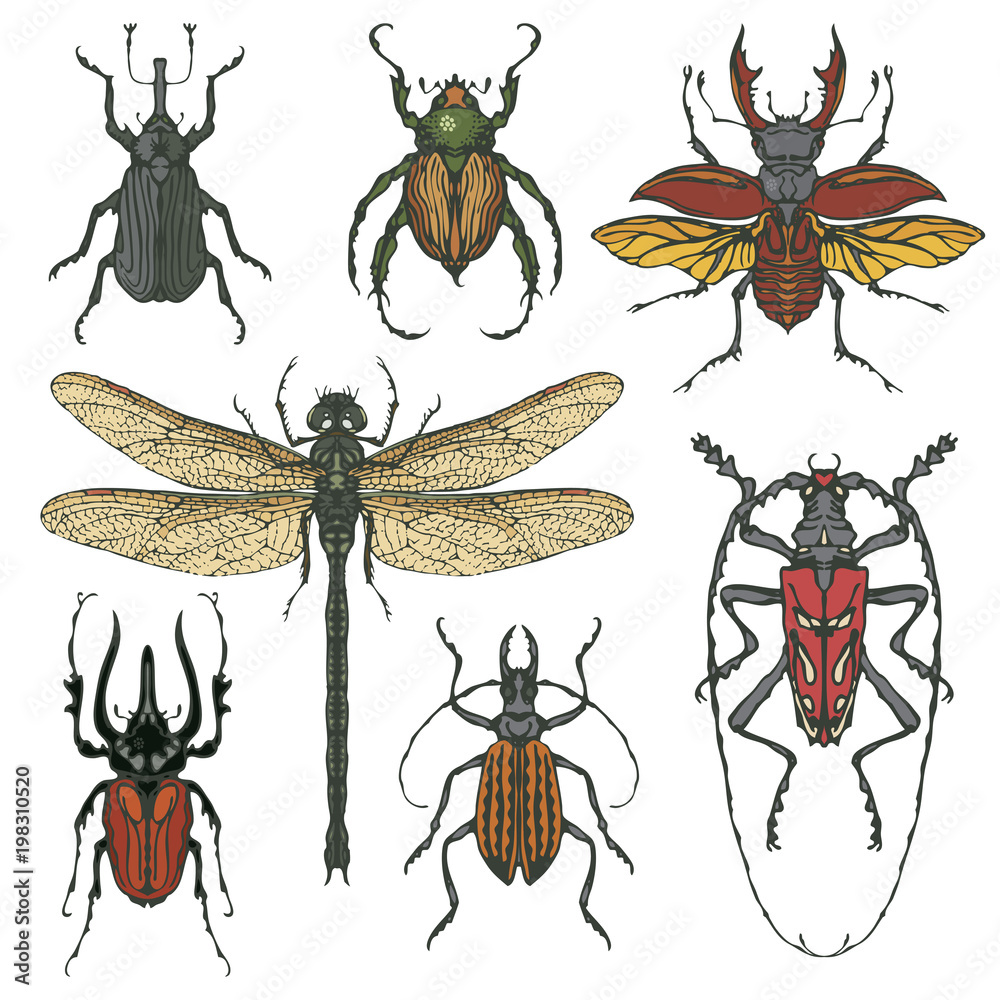 Vector set of various insects in retro style. Bugs, dragonfly and other ...