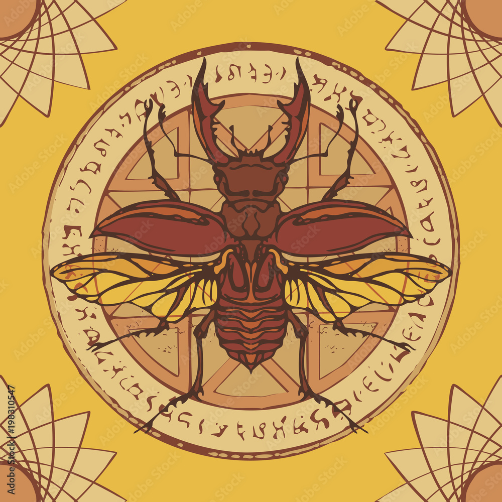 Illustration of a stag-beetle on a circle with an octagonal star ...