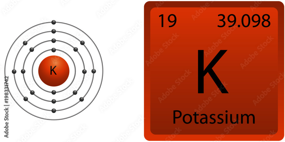 Potassium Atom Shell Stock Vector | Adobe Stock