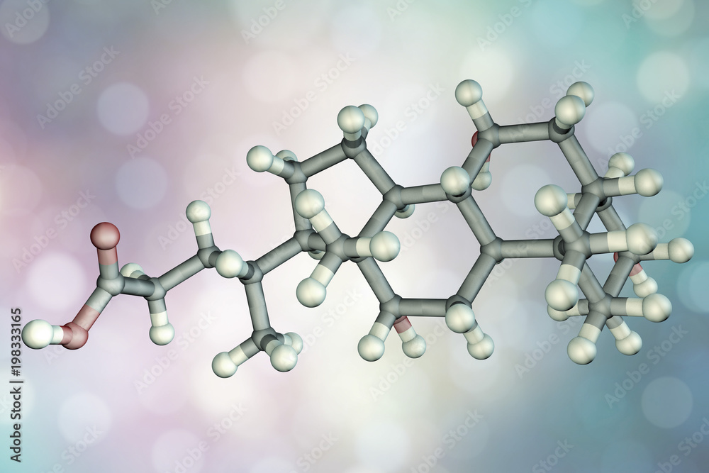 Cholic acid molecule, 3D illustration. A major primary bile acid ...
