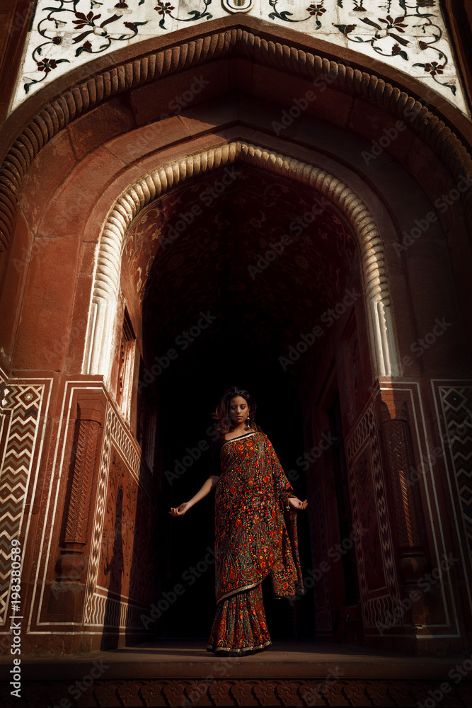 beautiful indian woman in sari in agra at taj mahal Stock Photo | Adobe ...