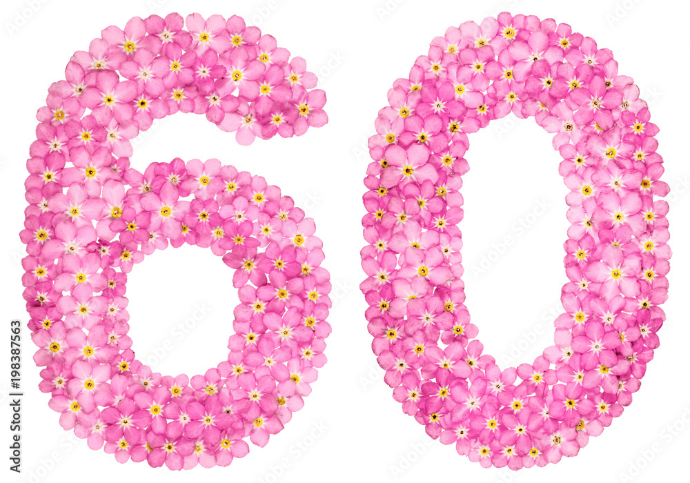 Arabic numeral 60, sixty, from pink forget-me-not flowers, isolated on ...