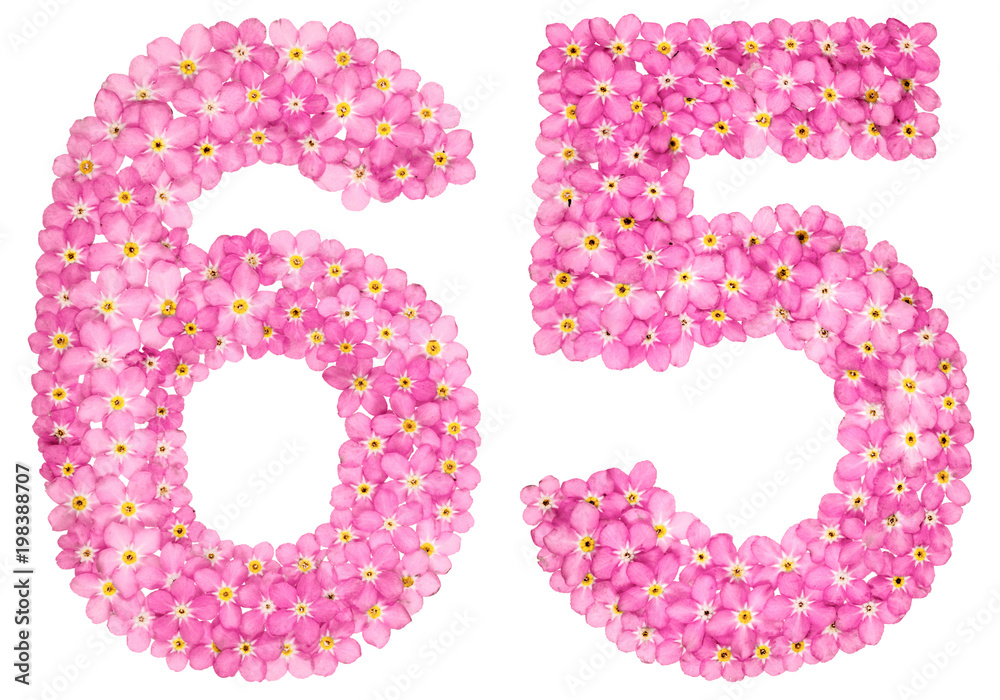 Arabic numeral 65, sixty five, from pink forget-me-not flowers ...
