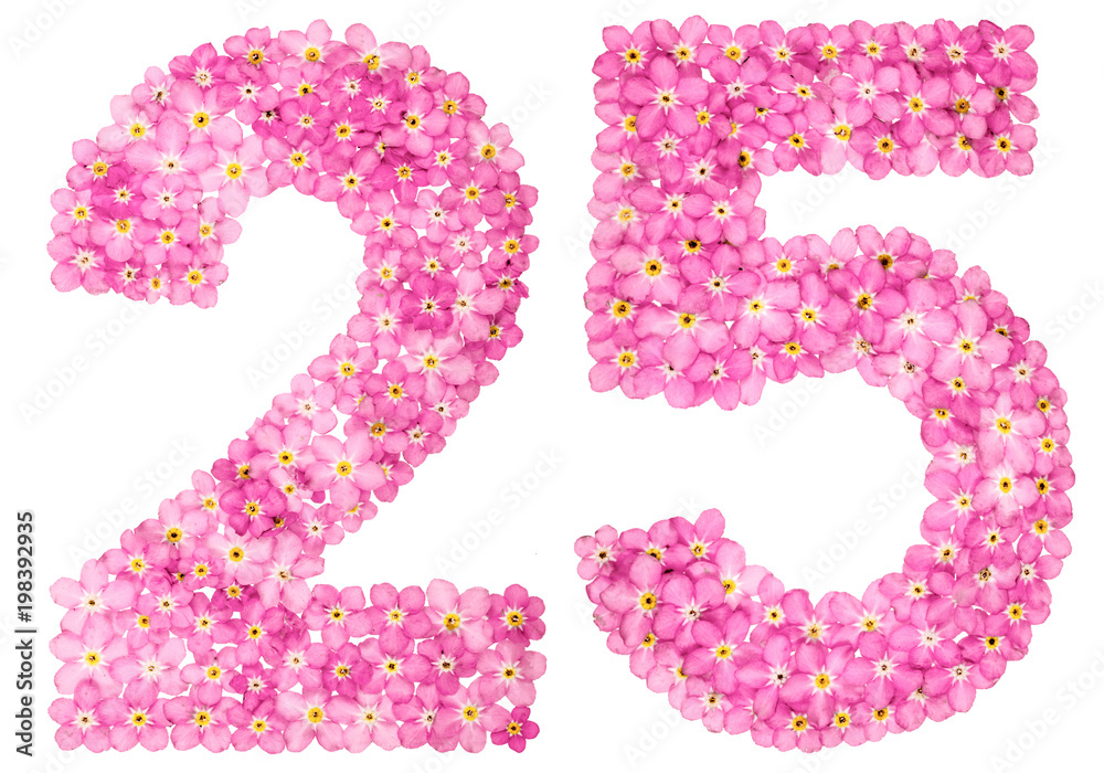 Arabic numeral 25, twenty five, from pink forget-me-not flowers ...