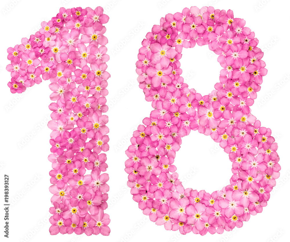 Arabic numeral 18, eighteen, from pink forget-me-not flowers, isolated ...