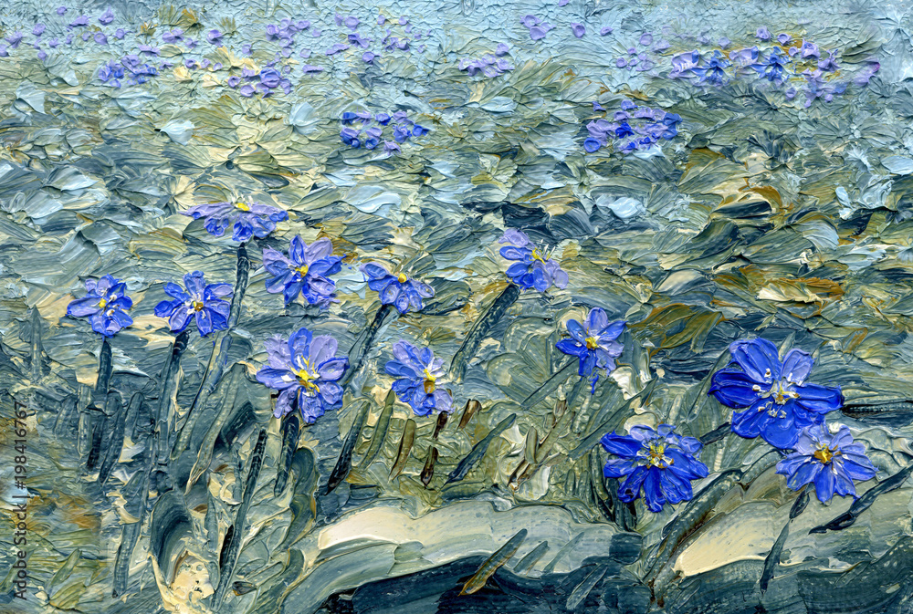 Blue flowers of Hepatica Nobilis, close-up, forest litter, spring time ...