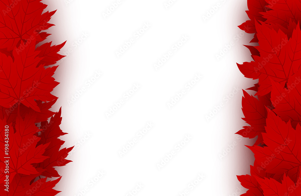 Canada day background design of red maple leaves isolated on white ...