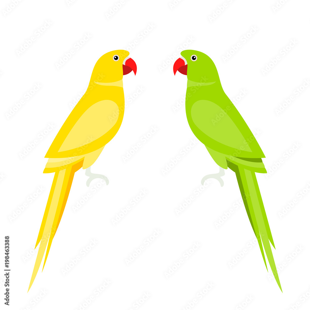 Cartoon cute parrot. Large Parakeets. Stock Vector | Adobe Stock