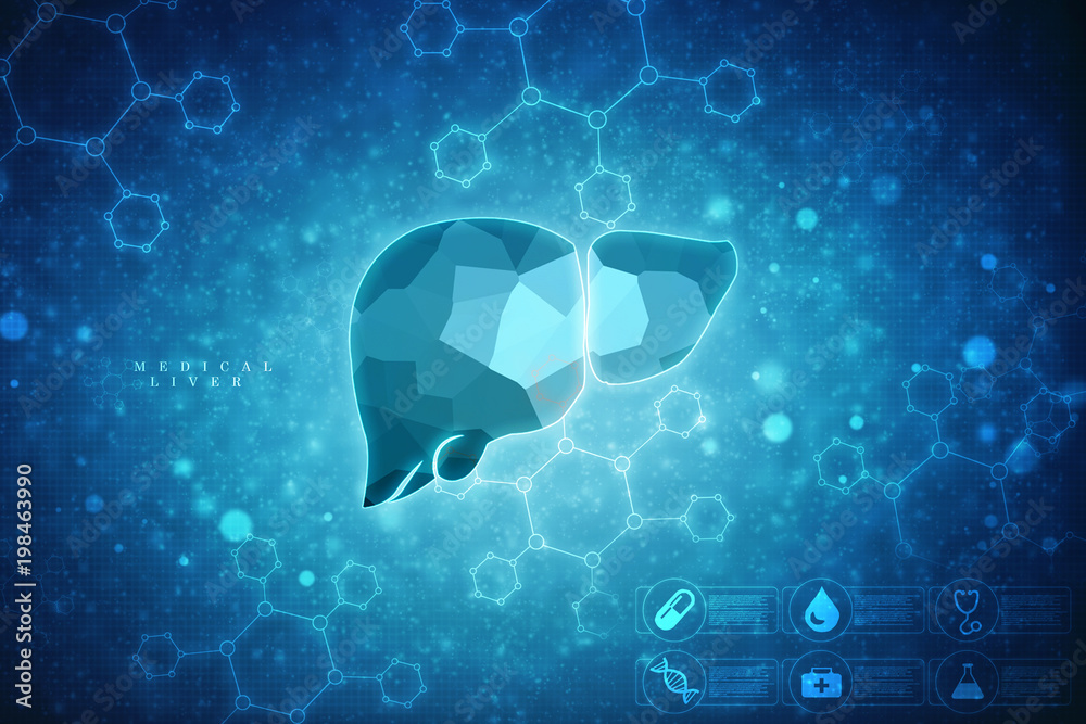 Realistic human liver 2d illustration Stock Illustration | Adobe Stock